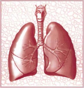 Patient Information – Pulmonary Associates